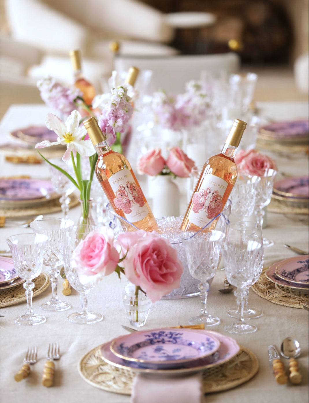 About – Social Bird